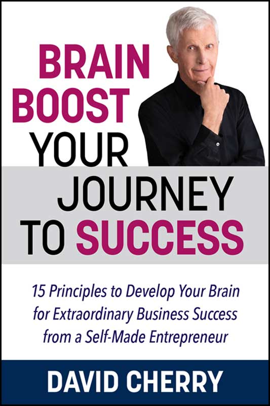 Brain Boost Your Journey to Success: 15 Principles to Develop Your ...